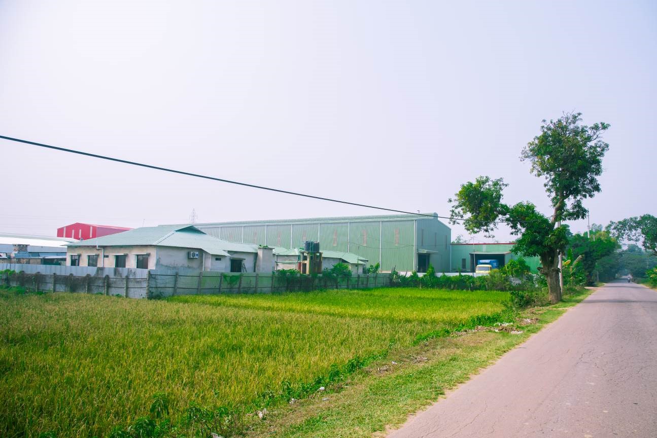 Vertex Paper and Board Mills Ltd